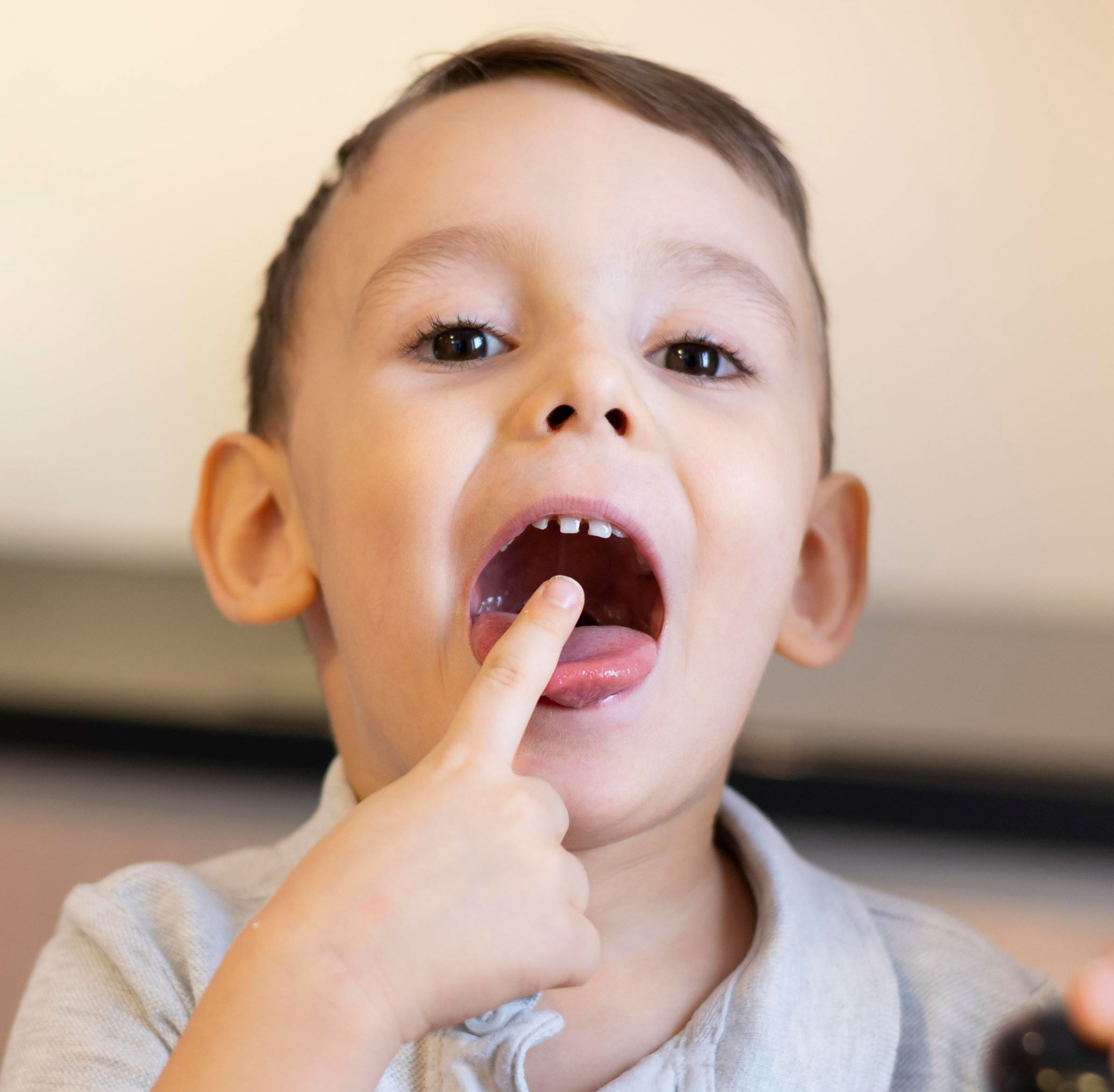 “Teeth are teeth”; what are the differences between baby teeth and ... “Teeth are teeth”; what are the differences between baby teeth and ...